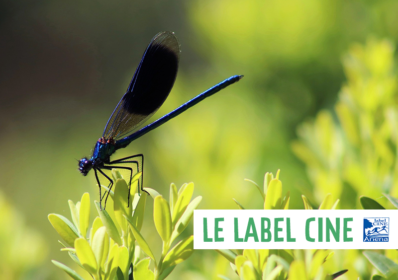 L'Association - Maison de la Nature du Sundgau